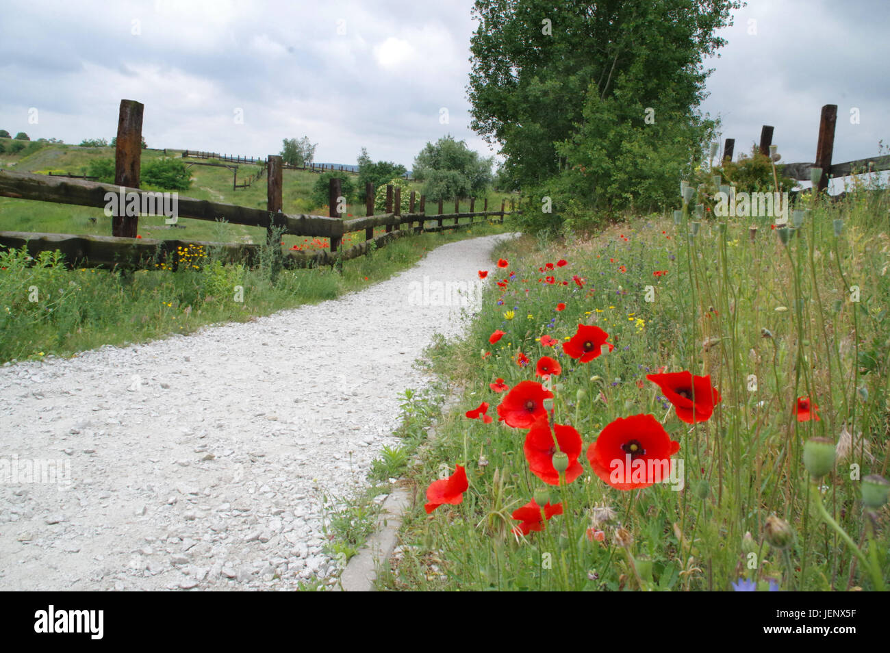 Hiking road hi-res stock photography and images - Alamy
