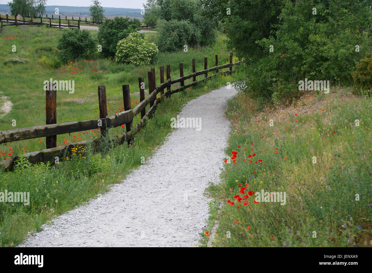 Typical hiking trail hi-res stock photography and images - Alamy