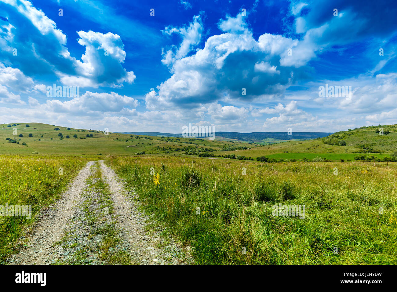 Field way on the green field background, blue sky Stock Photo - Alamy