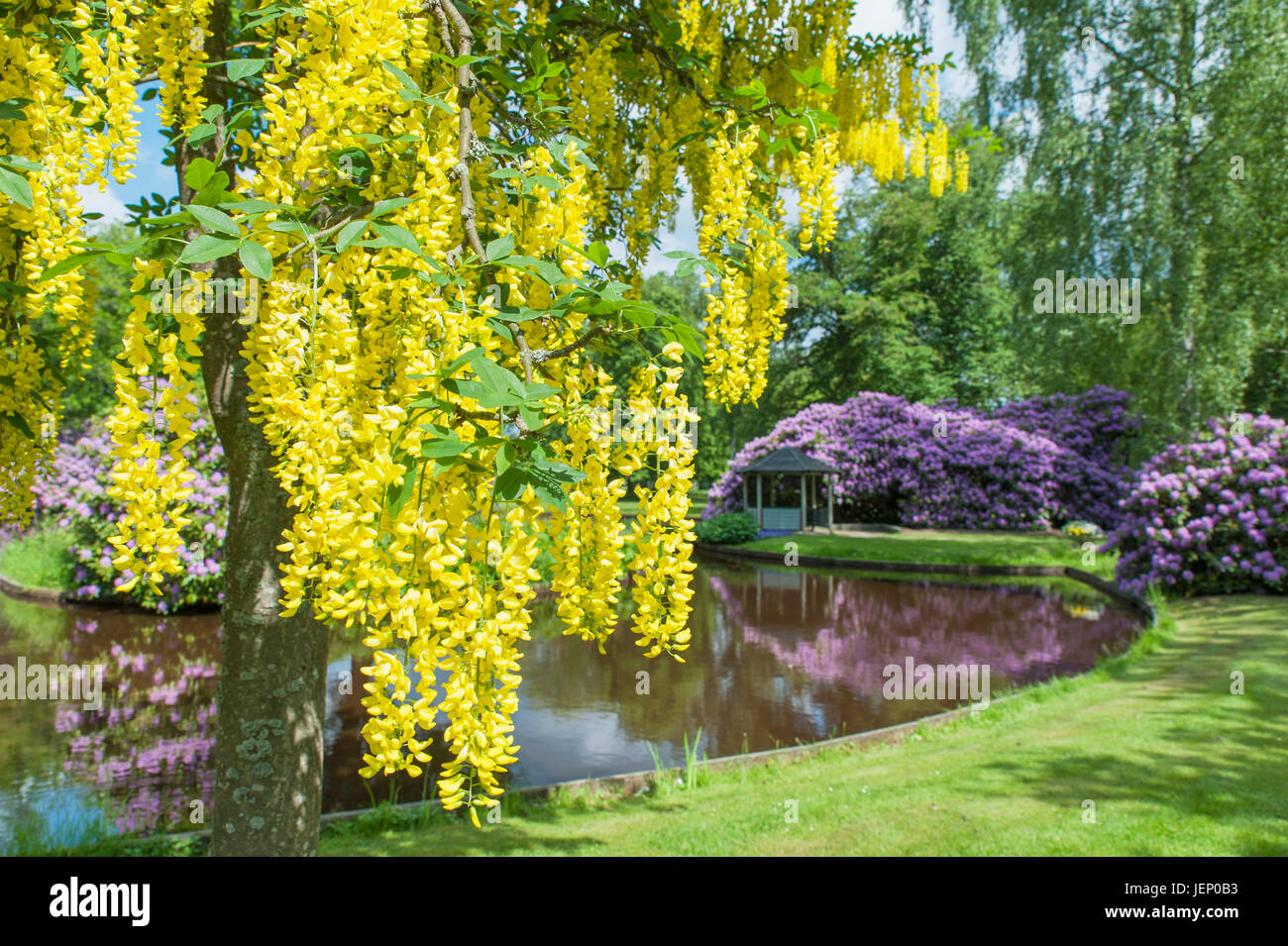 Garden in bloom Stock Photo - Alamy