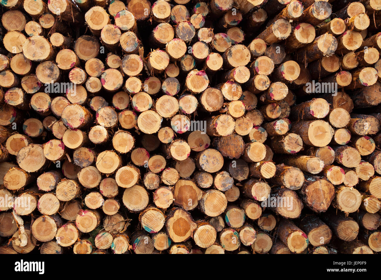 Timber, full frame Stock Photo - Alamy