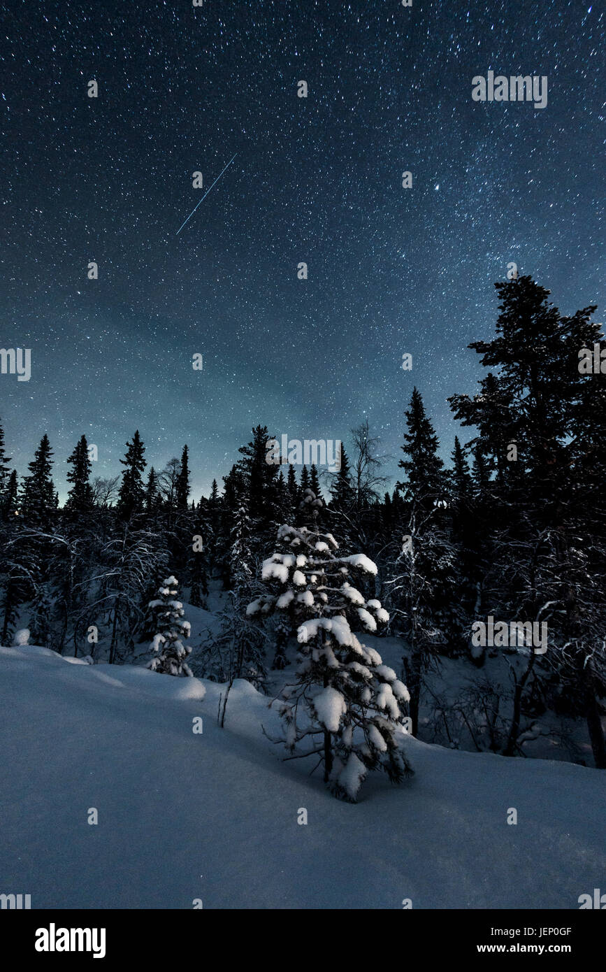 Winter landscape at starry night Stock Photo - Alamy