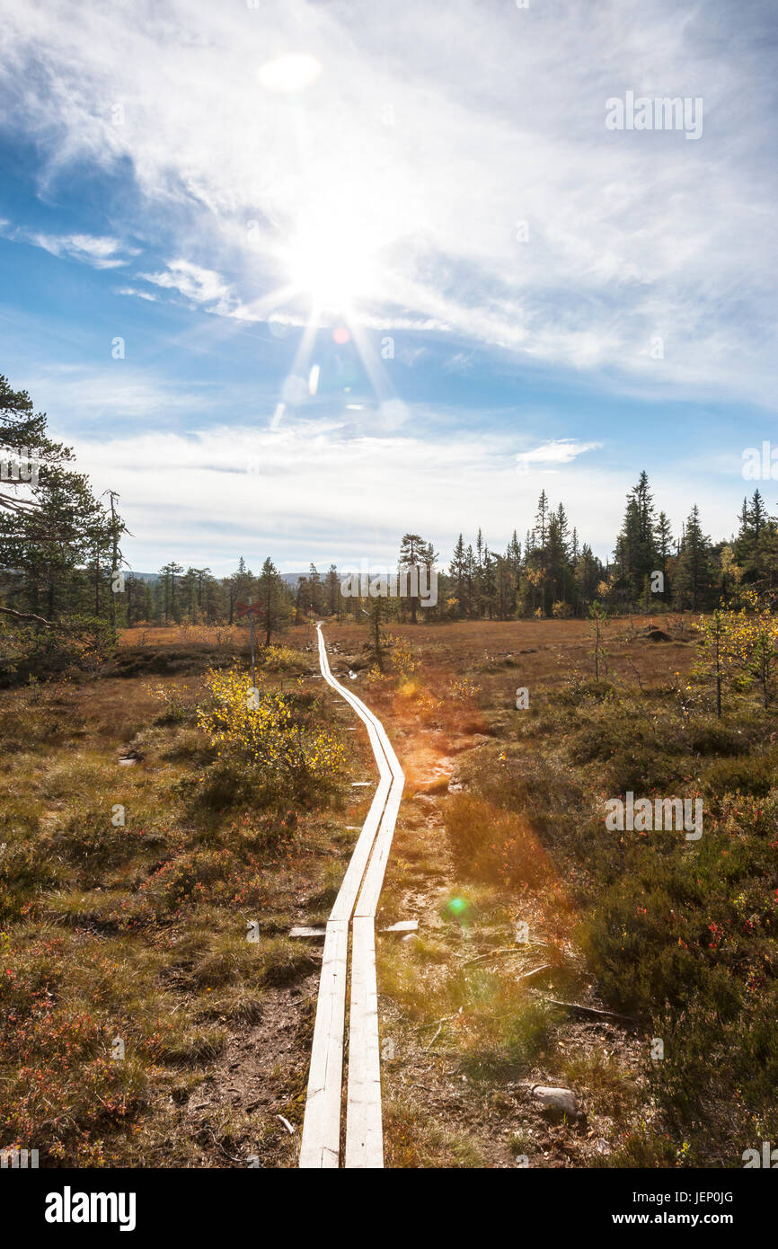 Path through meadow hi-res stock photography and images - Alamy