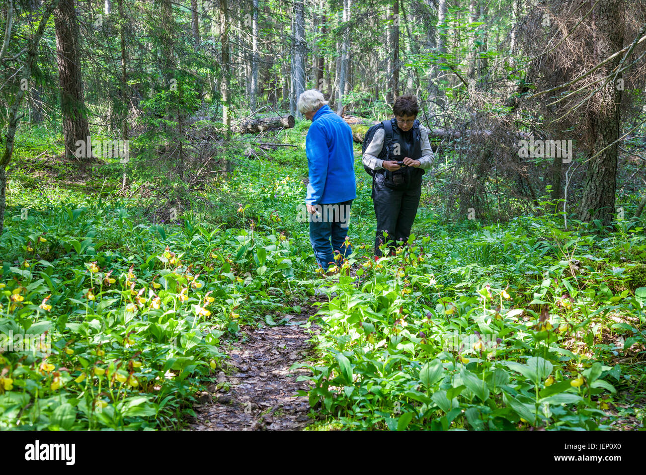 Women in forest Stock Photo - Alamy