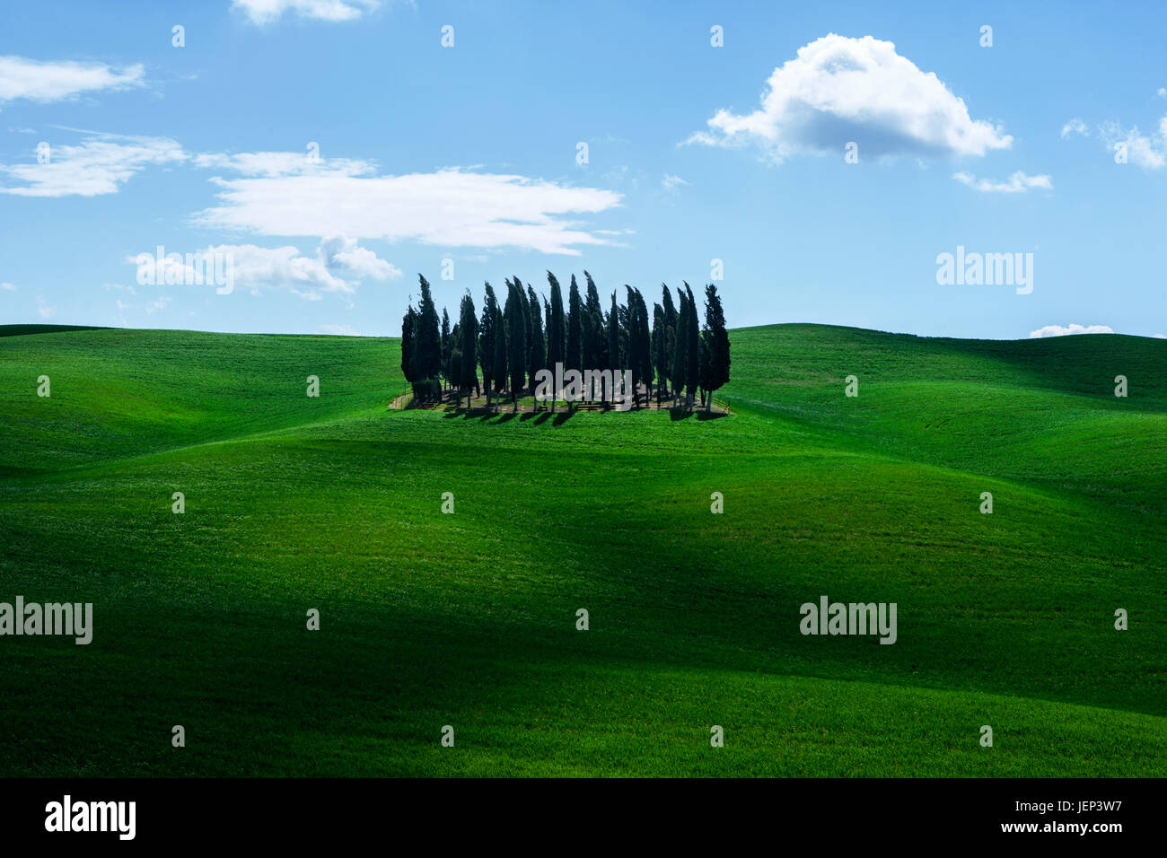 Green landscape with trees Stock Photo - Alamy