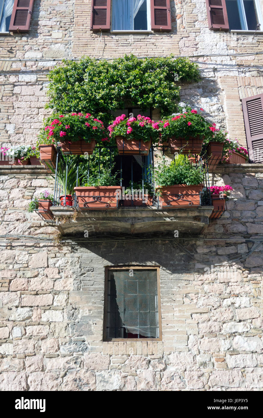 Medieval wall, windows, shutters, and flowers in Assisi, Italy, spring ...