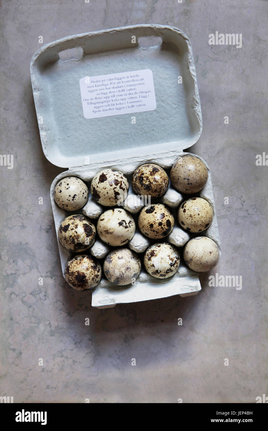Egg boxes hi-res stock photography and images - Alamy