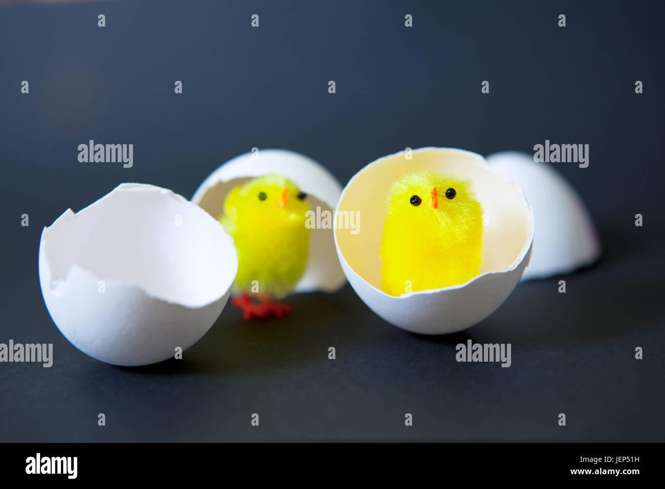 False chicken hi-res stock photography and images - Alamy