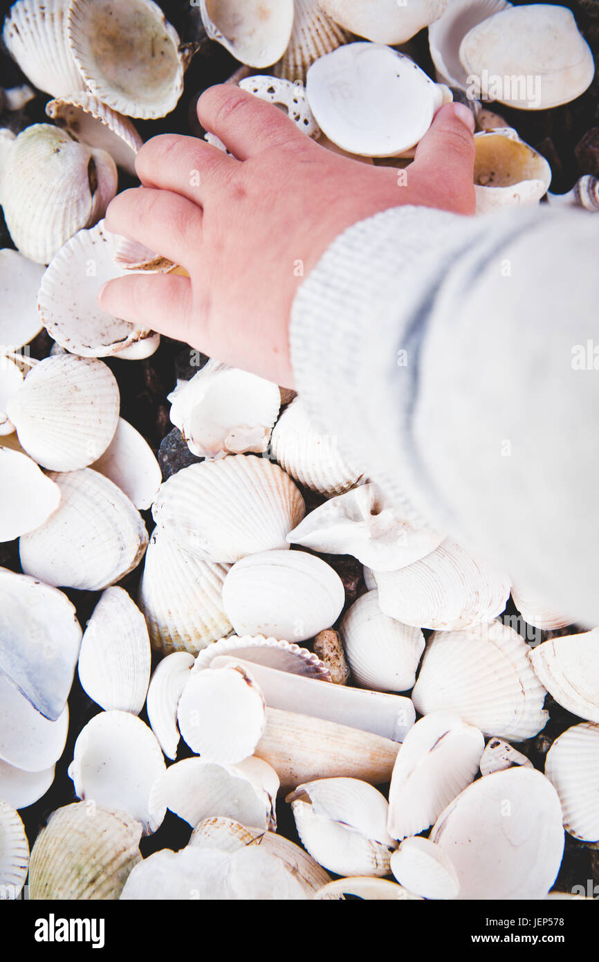 Pick up shells hi-res stock photography and images - Alamy