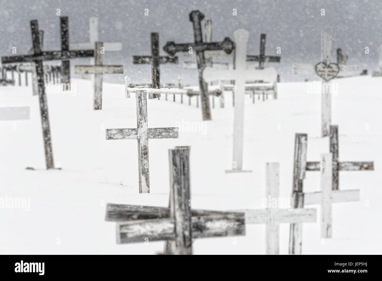 Crosses in memory people hi-res stock photography and images - Alamy