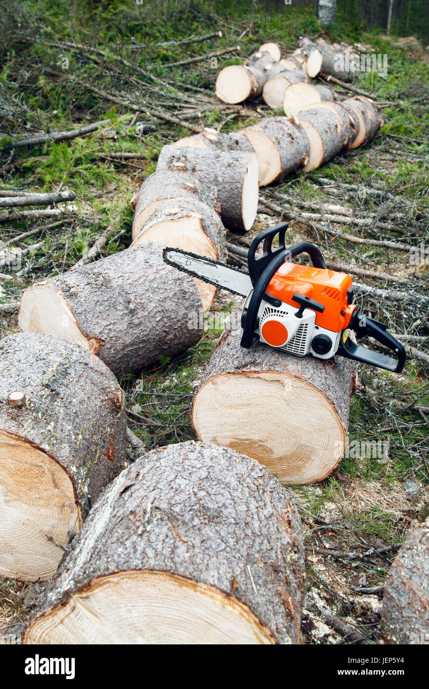 Chainsaw with cut log Stock Photo - Alamy