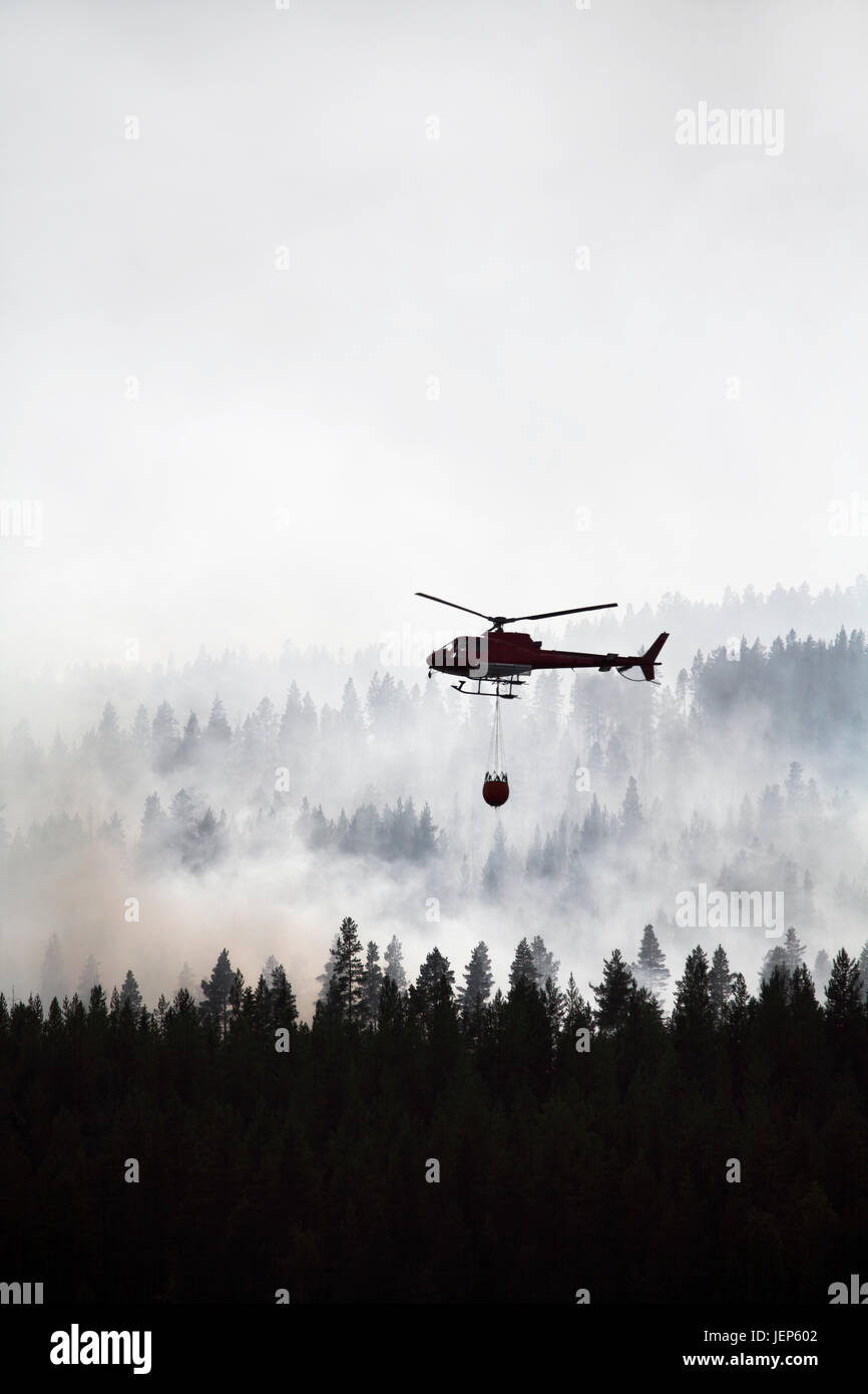 Helicopter dumping water on forest fire Stock Photo - Alamy