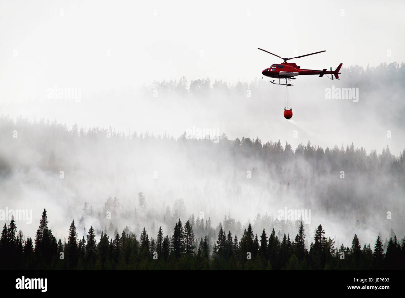 Helicopter dumping water on forest fire Stock Photo - Alamy