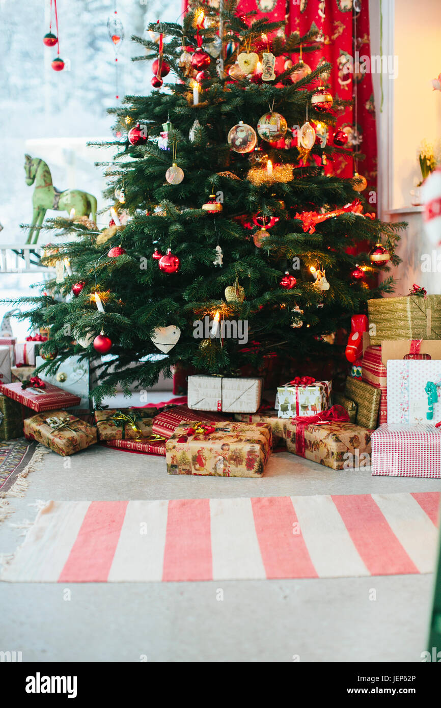 Christmas tree in living room Stock Photo - Alamy