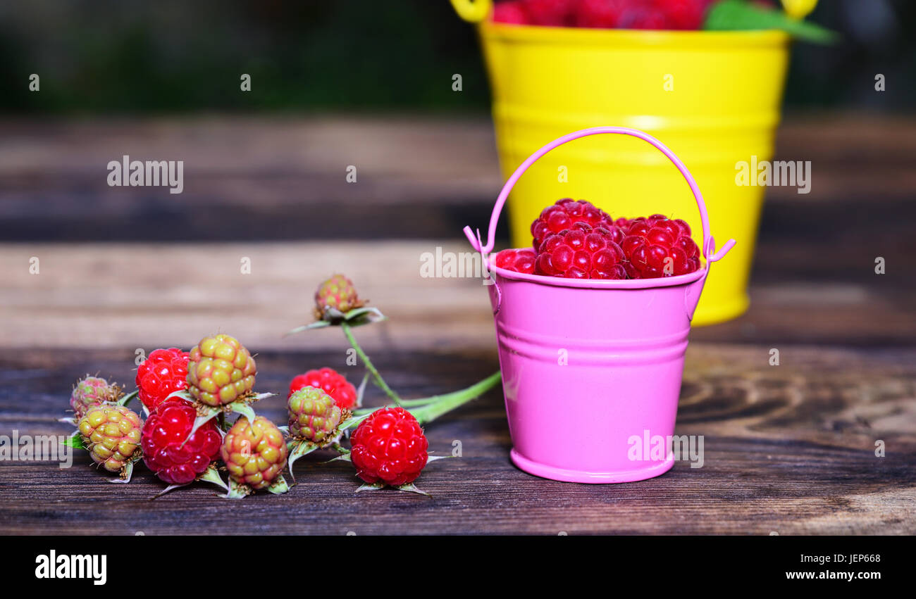 Ripe red raspberries in an iron bucket on a brown wooden background ...