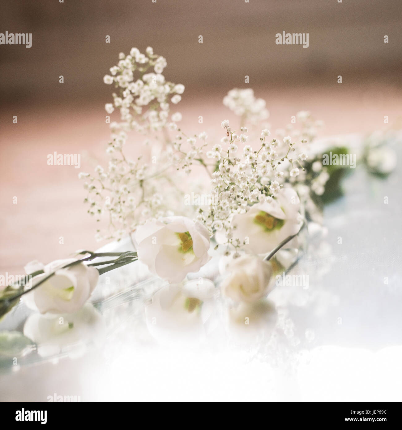 White flowers, close-up Stock Photo - Alamy