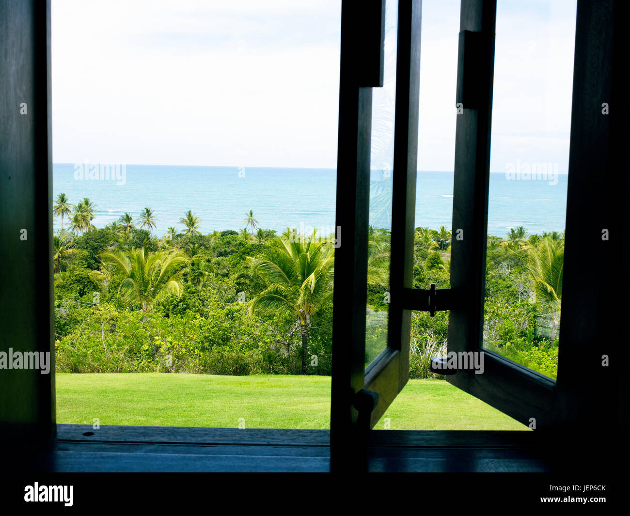 View through window on palm trees and sea Stock Photo - Alamy