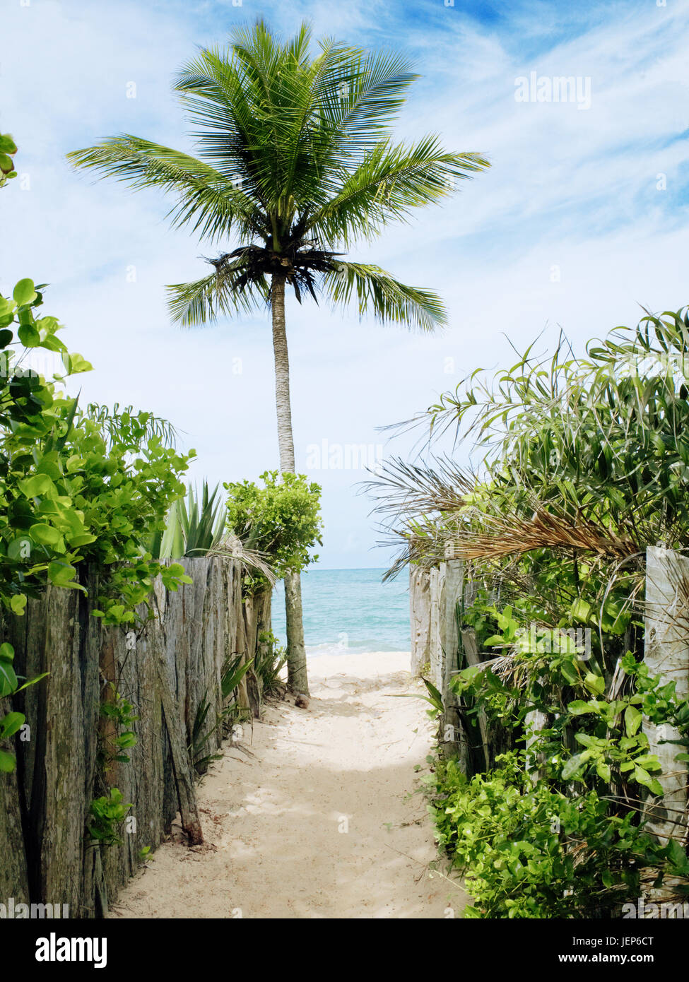 Path leading to beach Stock Photo - Alamy