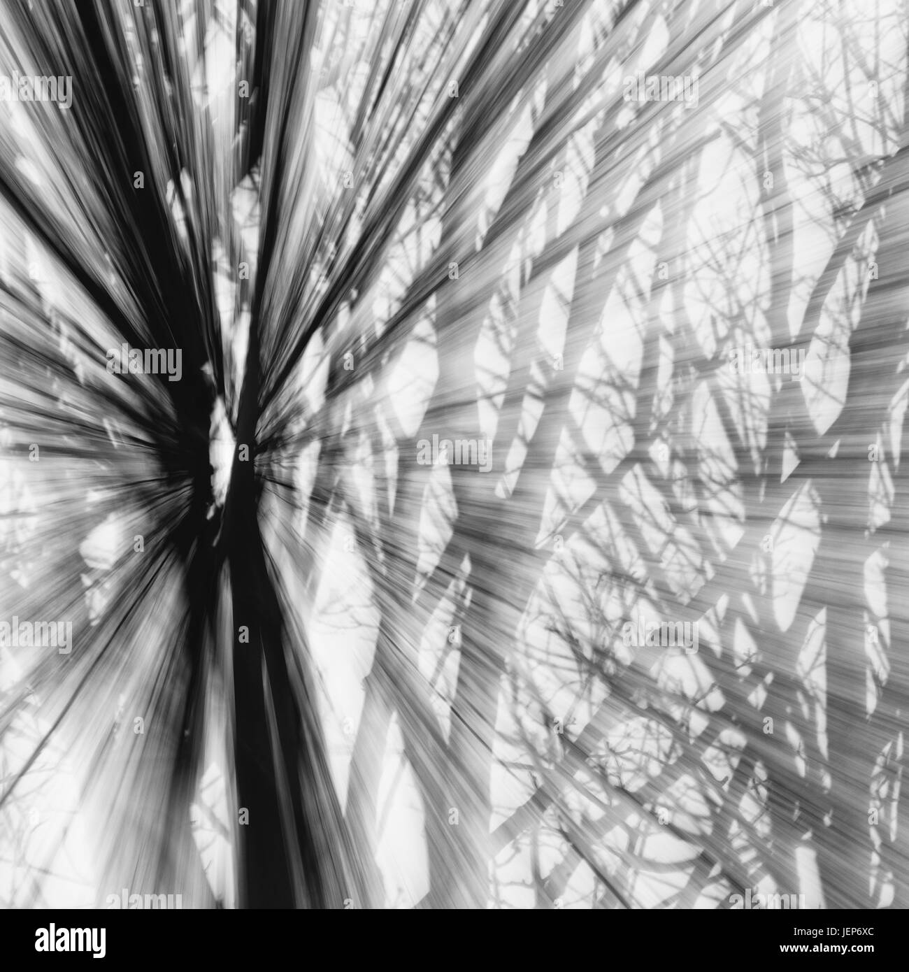 Shining sunbeam Black and White Stock Photos & Images - Alamy