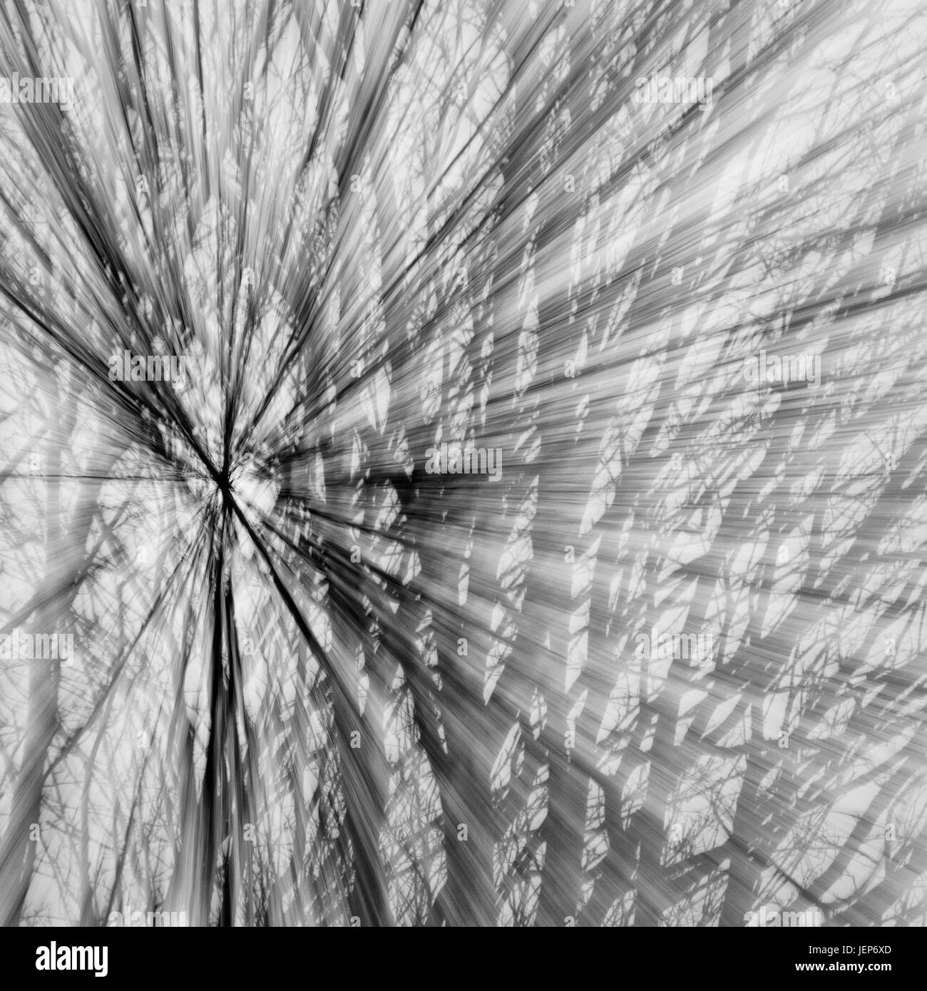 Shining sunbeam Black and White Stock Photos & Images - Alamy