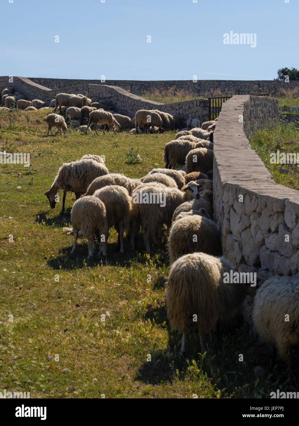 Zecevo hi-res stock photography and images - Alamy