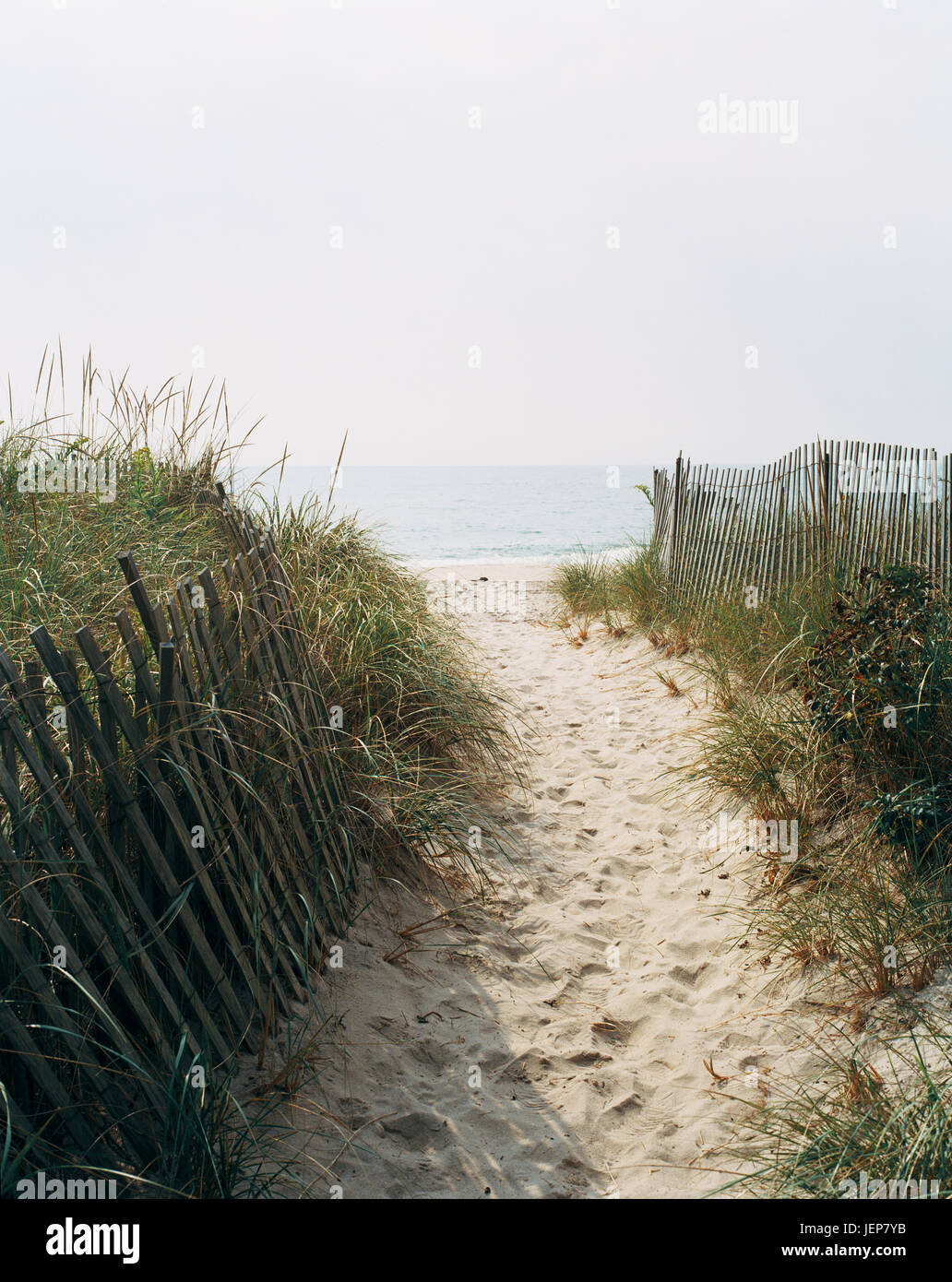 Sandy path leading to beach Stock Photo - Alamy