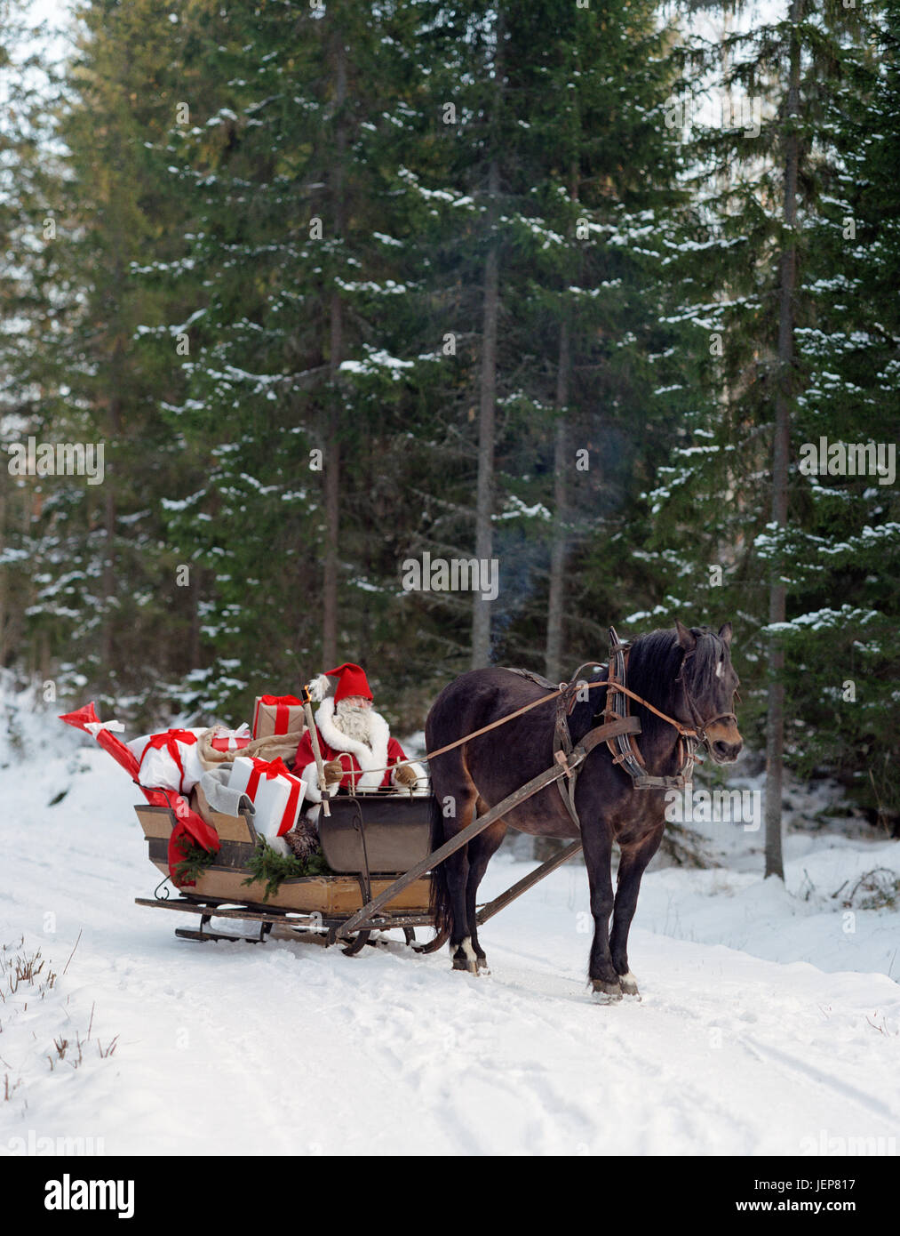 Santa in sled Stock Photo - Alamy