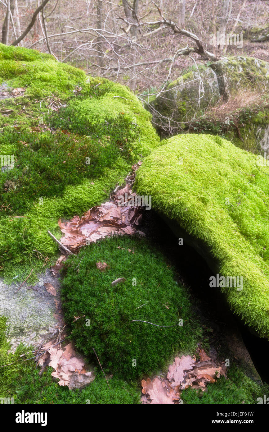 Partille gothenburg hi-res stock photography and images - Alamy