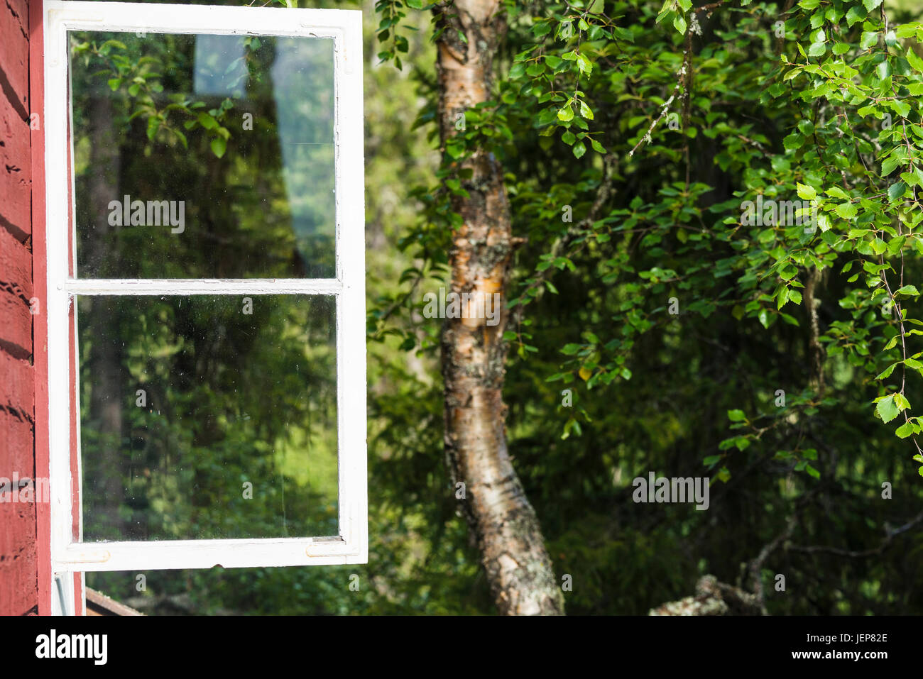 Open widow, tree on background Stock Photo - Alamy
