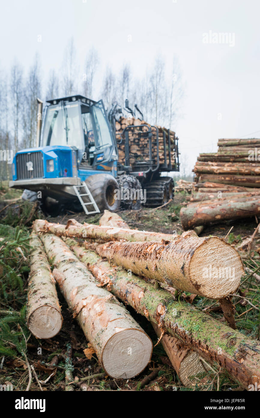 Logging vehicle with timber on foreground Stock Photo - Alamy