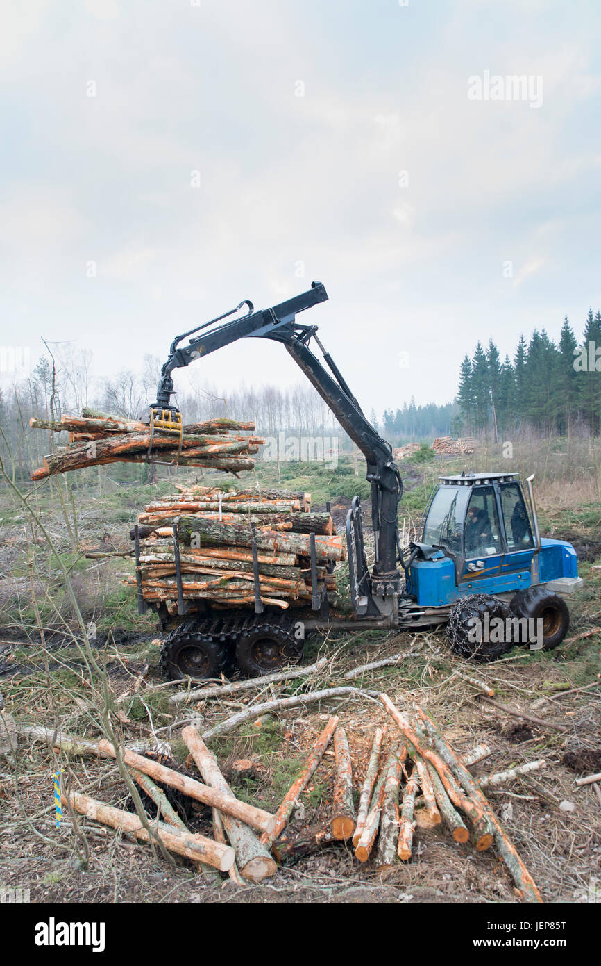 Logging vehicle carrying timber Stock Photo - Alamy