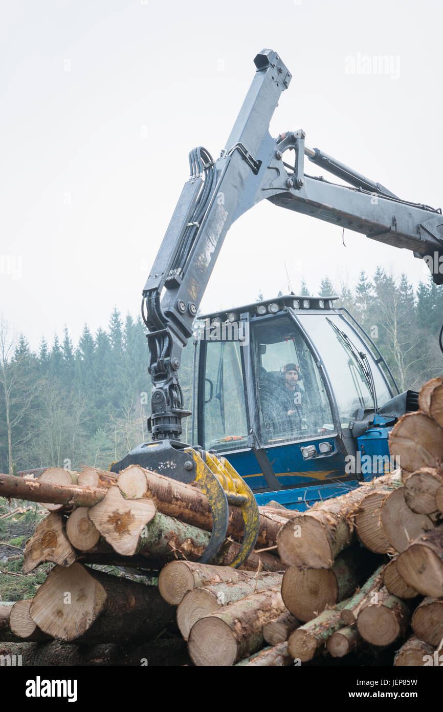 Logging vehicle carrying timber Stock Photo - Alamy