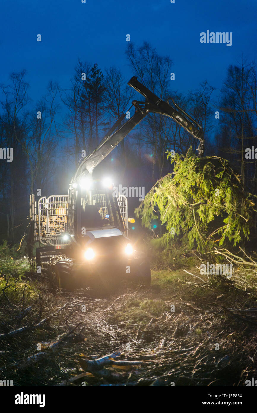 Logging vehicle carrying timber Stock Photo - Alamy