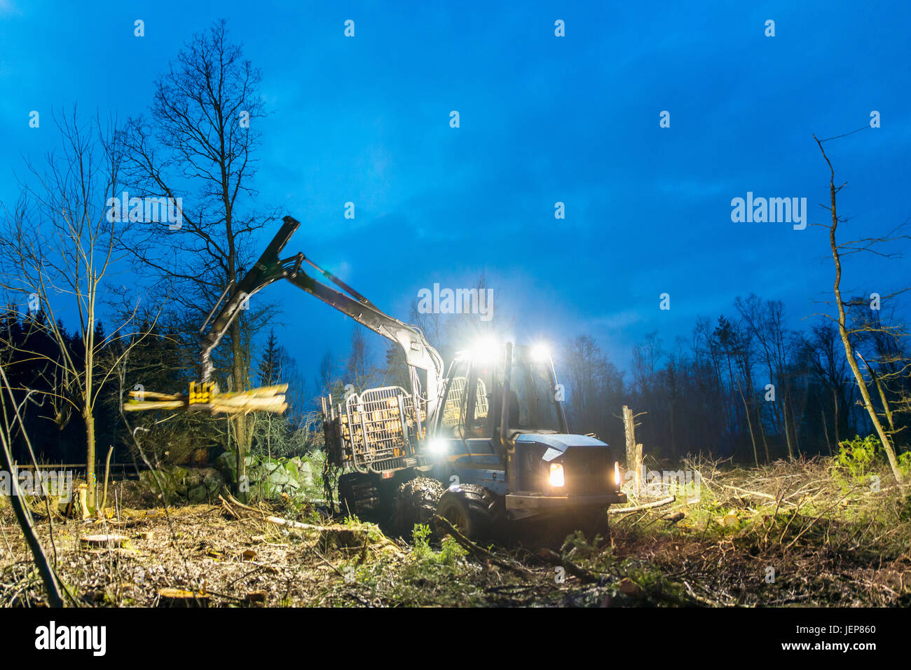 Logging vehicle carrying timber Stock Photo - Alamy