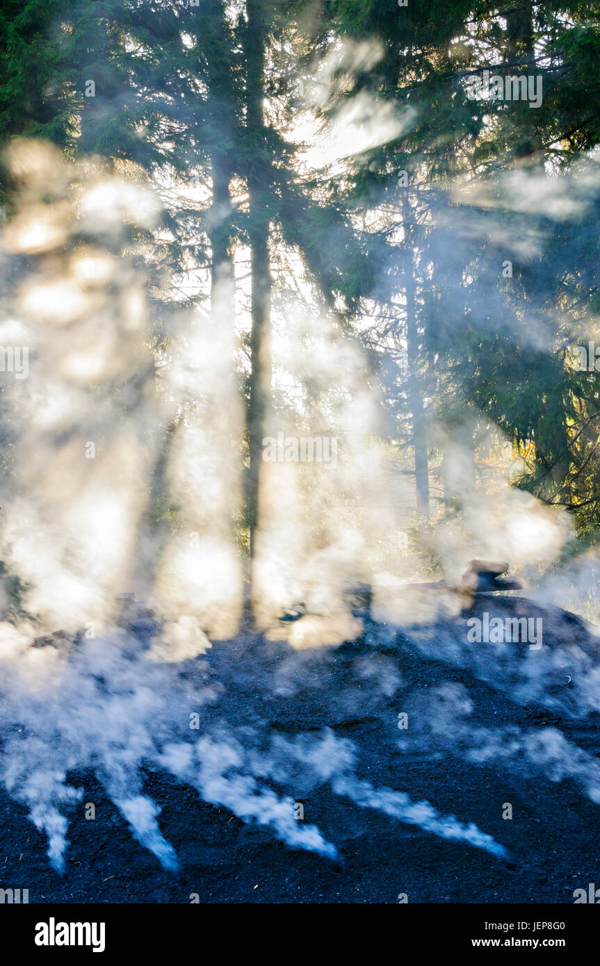 Smoke in forest Stock Photo - Alamy