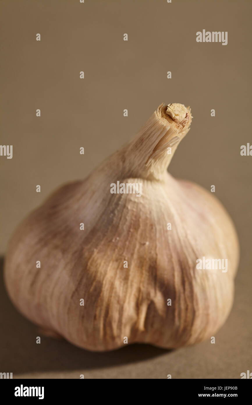 a whole head of fresh garlic Stock Photo - Alamy