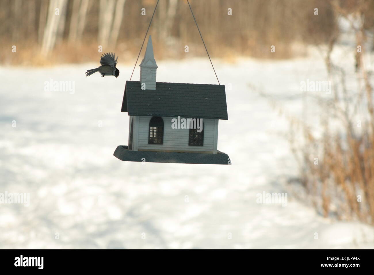 Action picture hi-res stock photography and images - Alamy