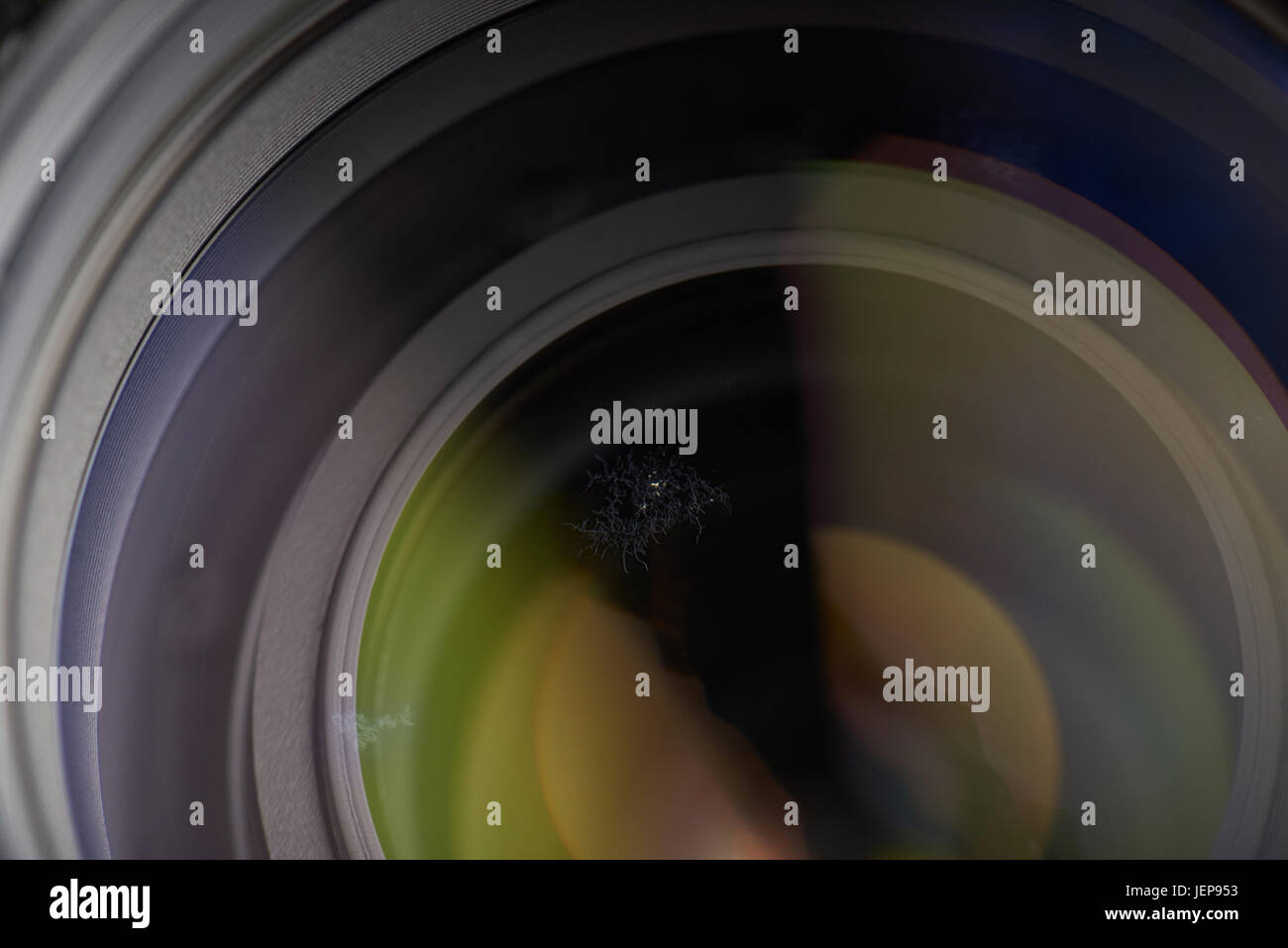 Dust fungus hi-res stock photography and images - Alamy