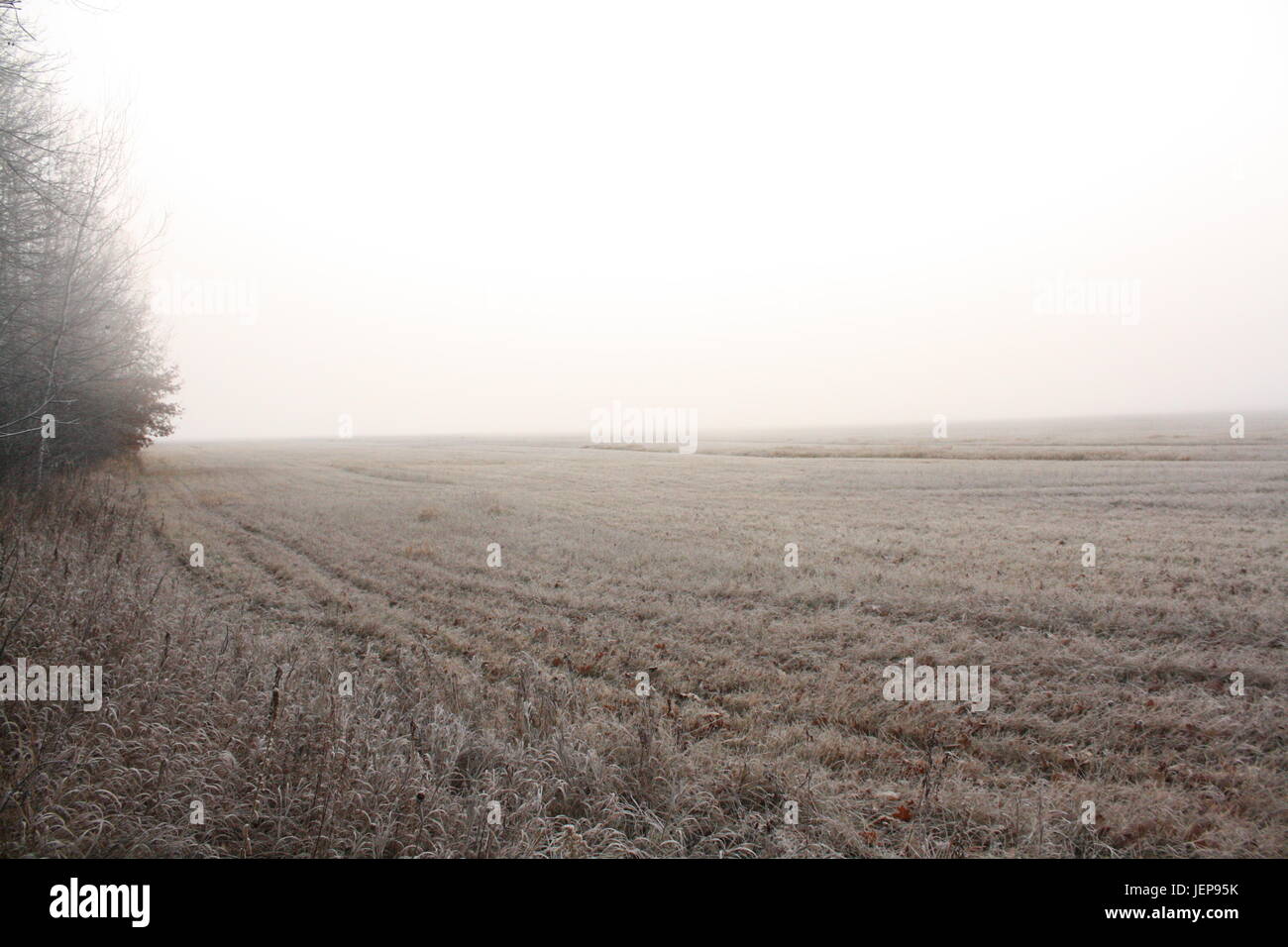 Happy bean plant hi-res stock photography and images - Alamy