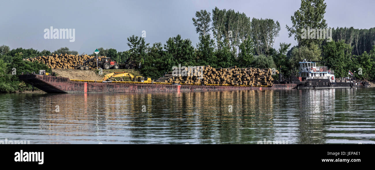 River Tisa (Tisza), Serbia - Tugboat and River barge loaded with logs ...