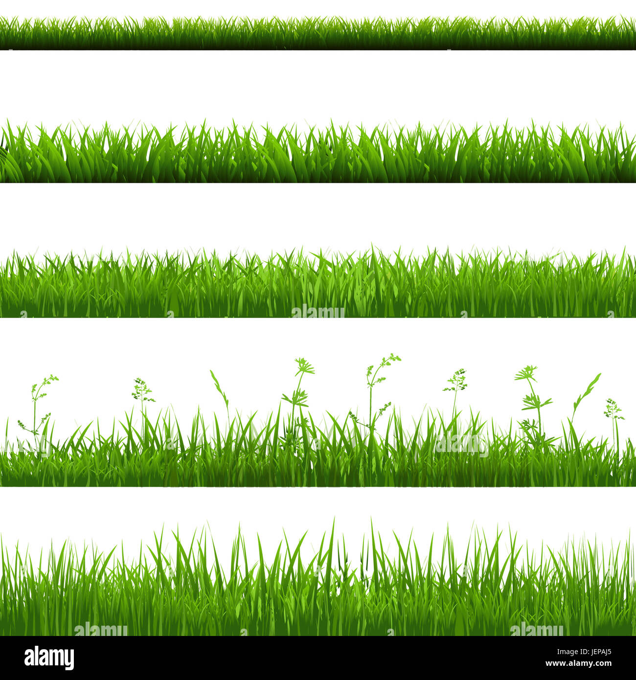 Lush green vegetation borders hi-res stock photography and images - Alamy