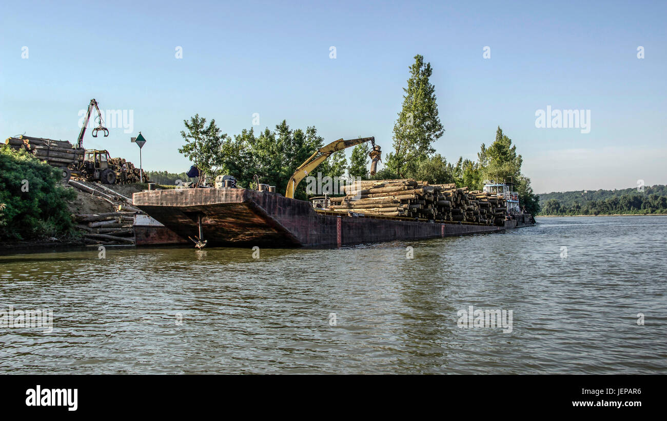 River Tisa (Tisza), Serbia - Cranes with jaws loading logs onto a river ...