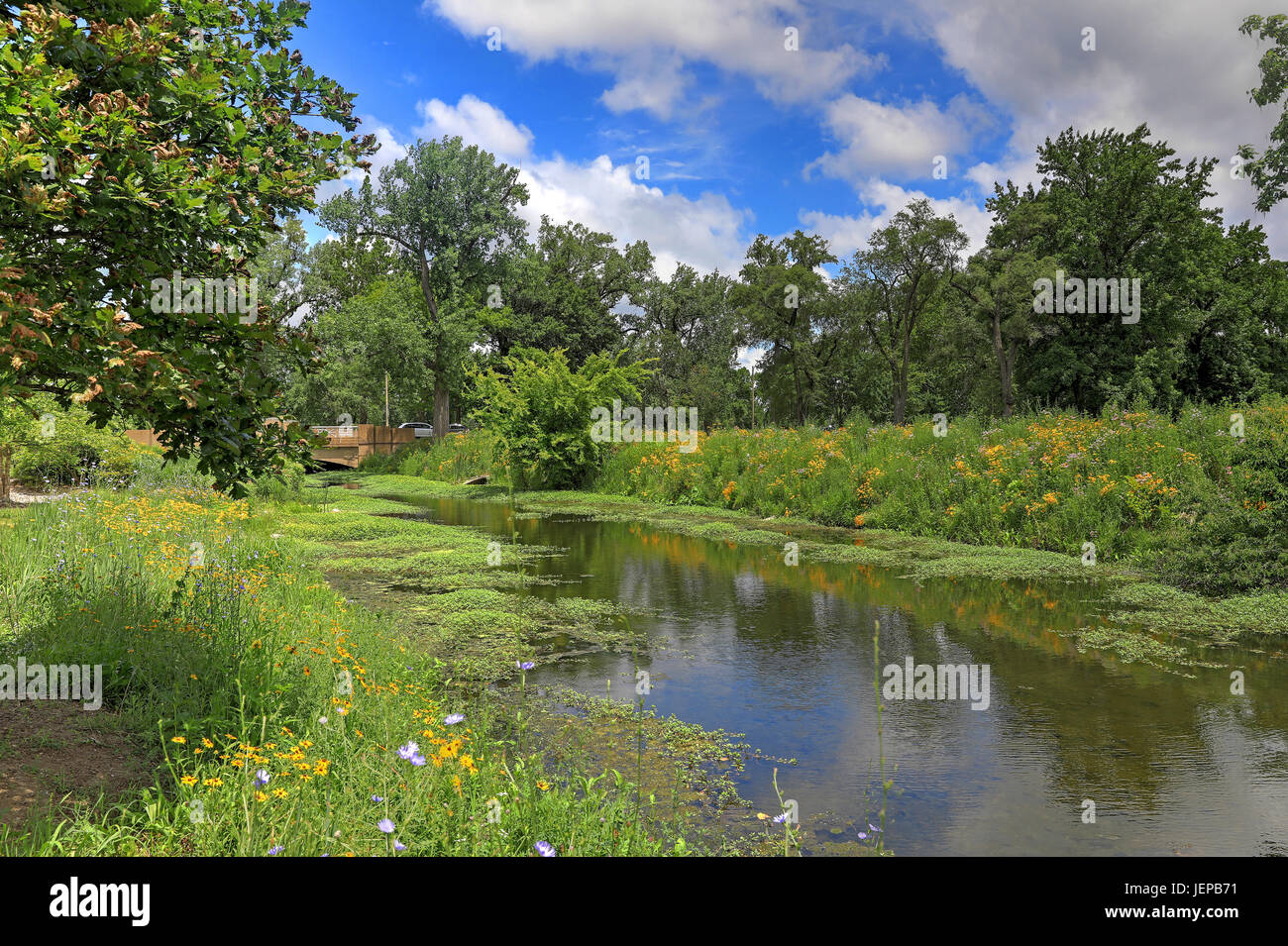Forest Park in St. Louis, Missouri Stock Photo - Alamy