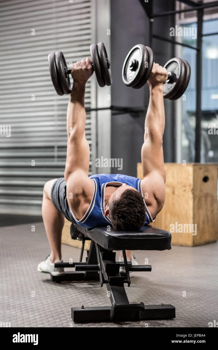 Muscular man on bench lifting dumbbells Stock Photo - Alamy