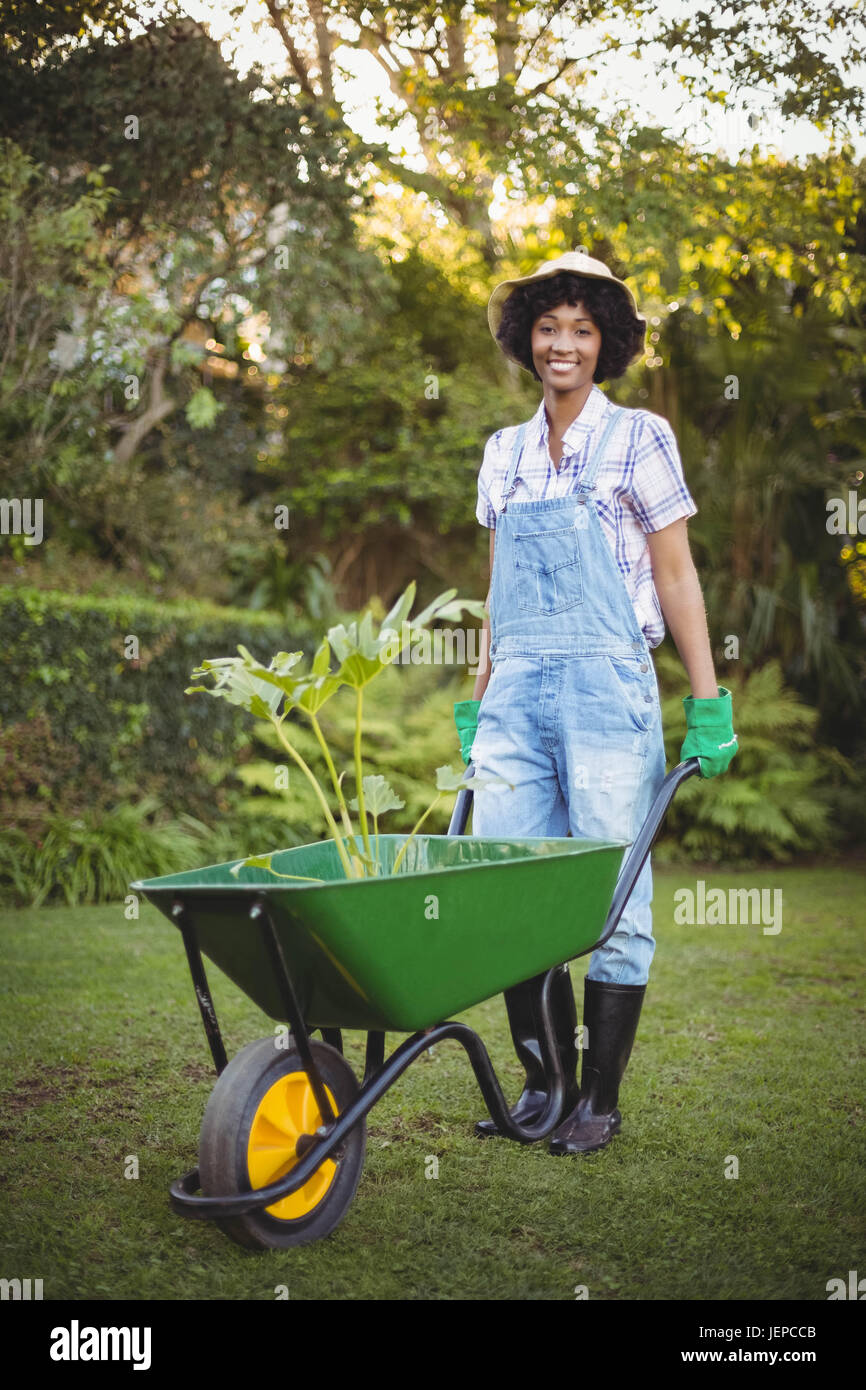 Woman pushing wheelbarrow hi-res stock photography and images - Alamy