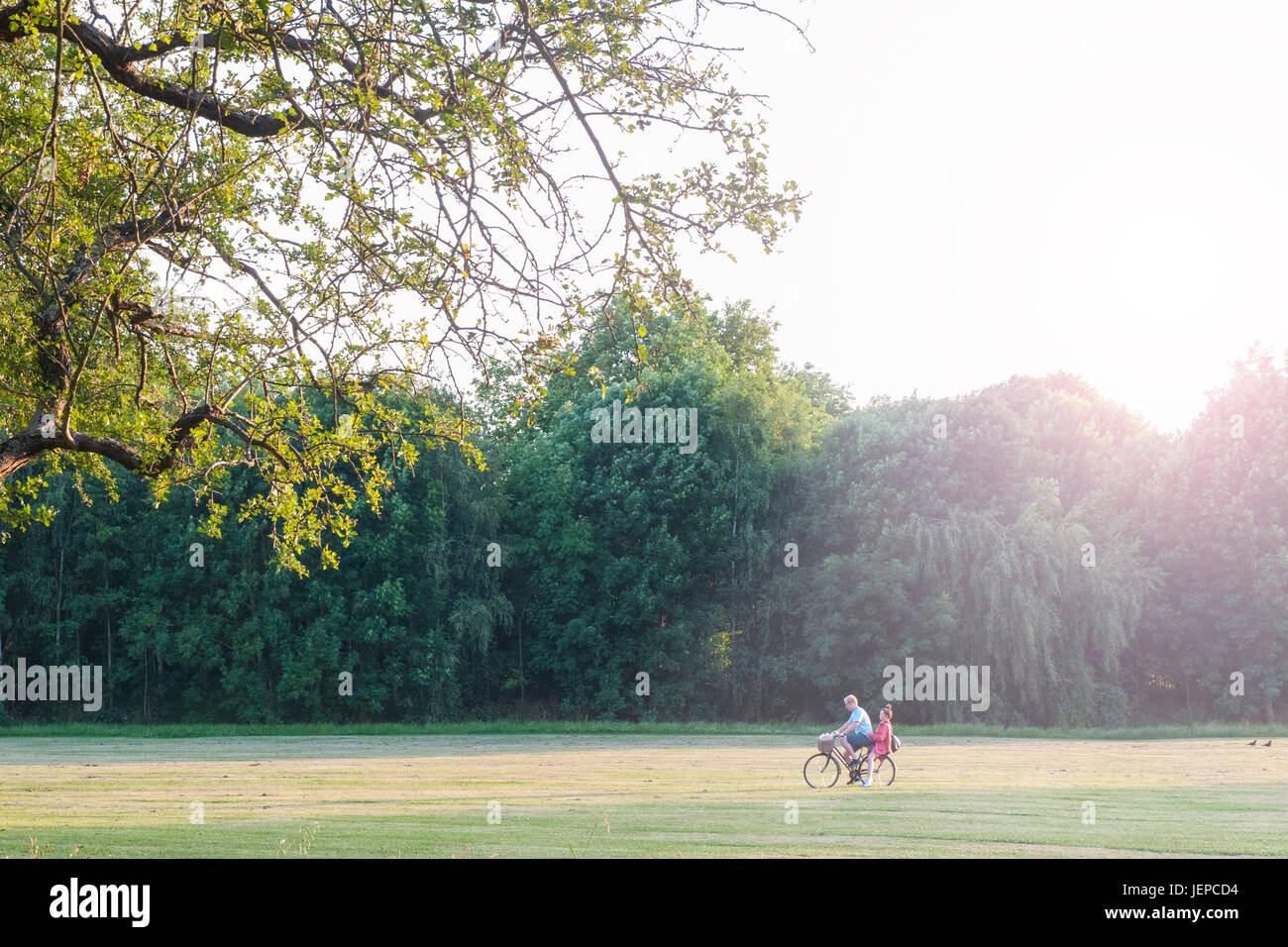 A happy scene in the sunshine as a boy and a girl share a bike ride ...