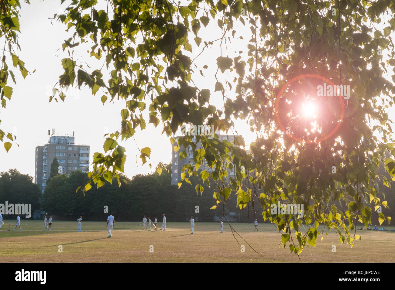 Weekend cricket hi-res stock photography and images - Alamy