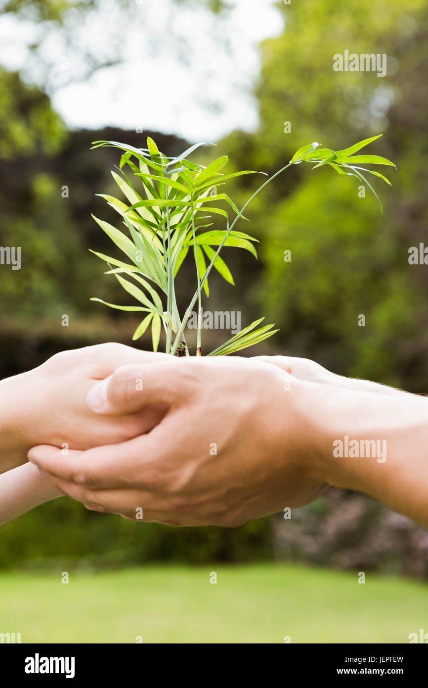 Young couple holding a sapling Stock Photo - Alamy
