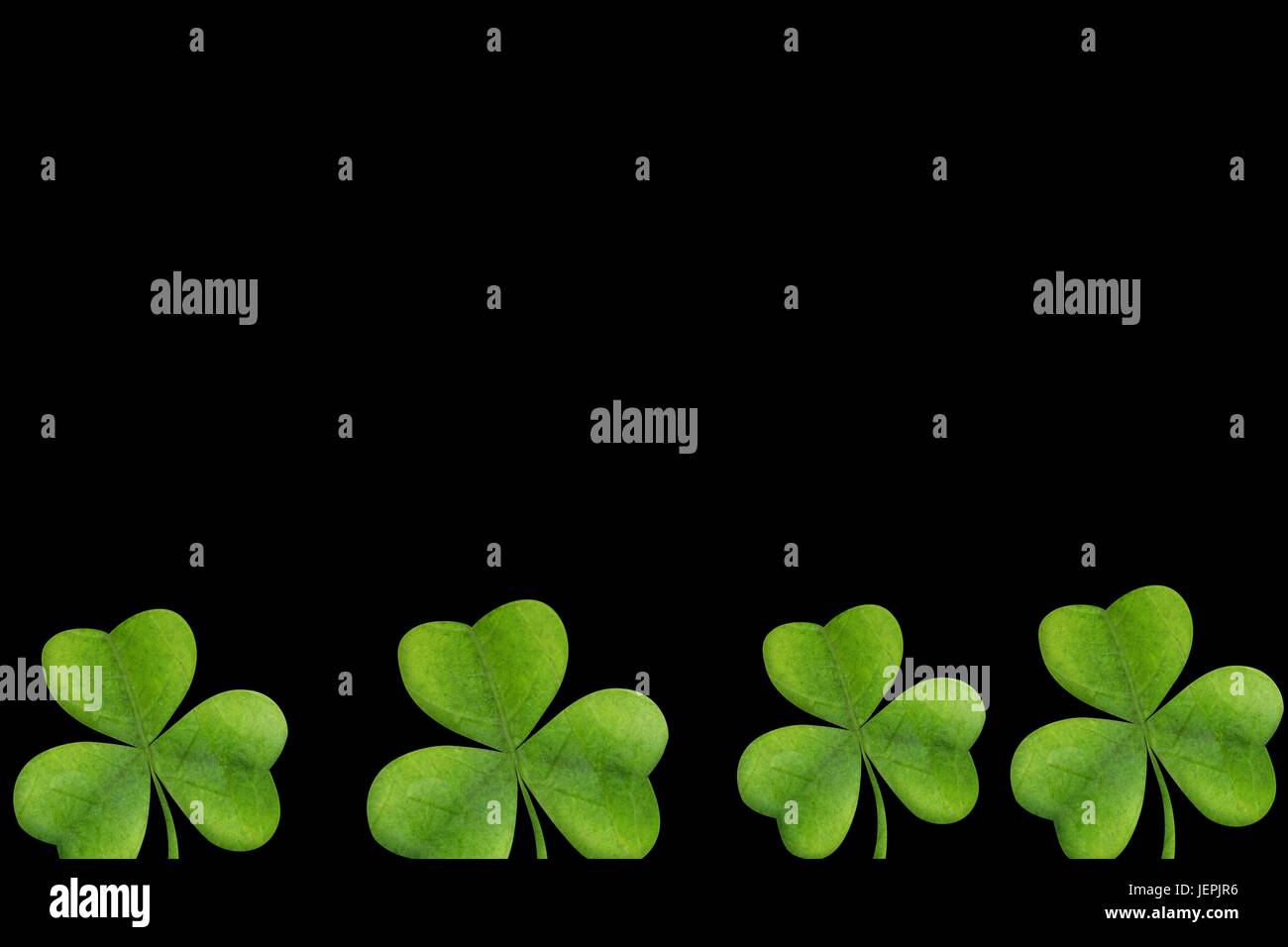 Picture of shamrock Stock Photo - Alamy