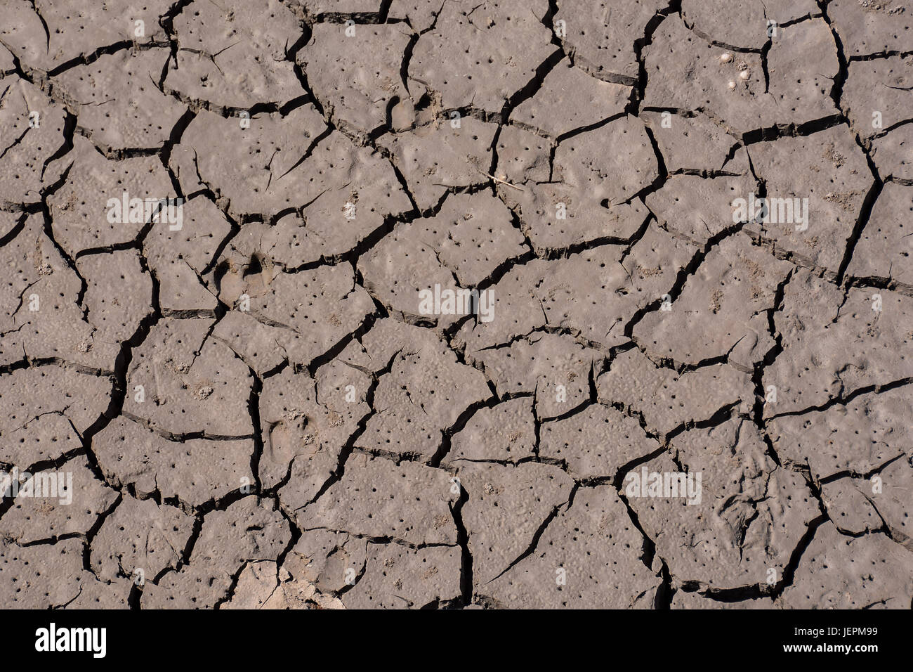 Photo Picture of Dry cracked mud earth texture Stock Photo - Alamy